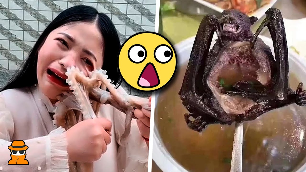Las 10 Comidas mas RARAS del Mundo - YouTube