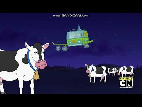 Be Cool Scooby Doo Daphne Blake Almost Ran Over A Cow