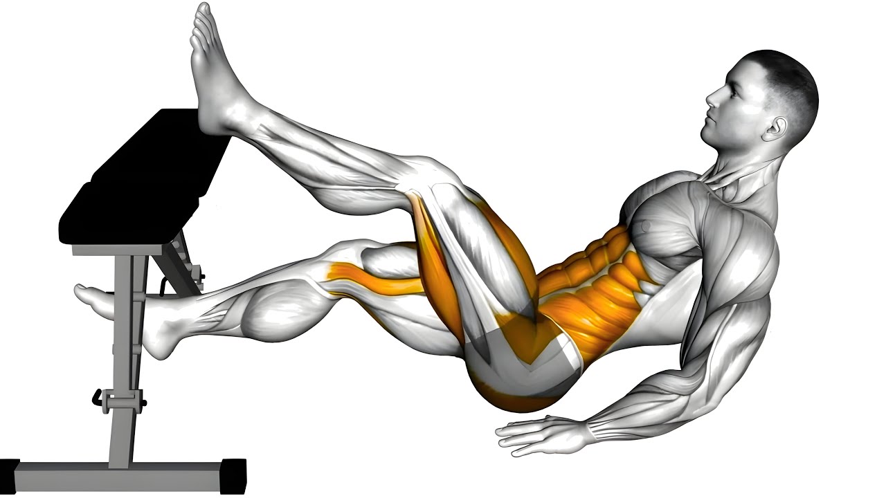 10-Min Bench Abs Workout for Belly Fat Burn | Beginner-Friendly Core ...