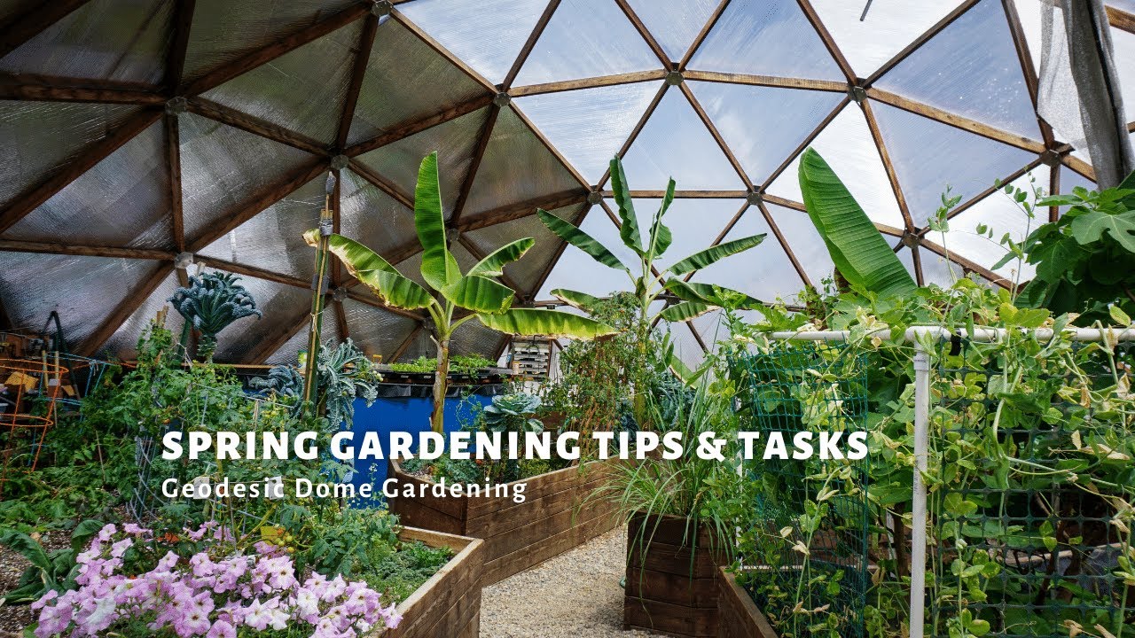Important Tasks & Tips for a Successful Spring Dome Garden - YouTube