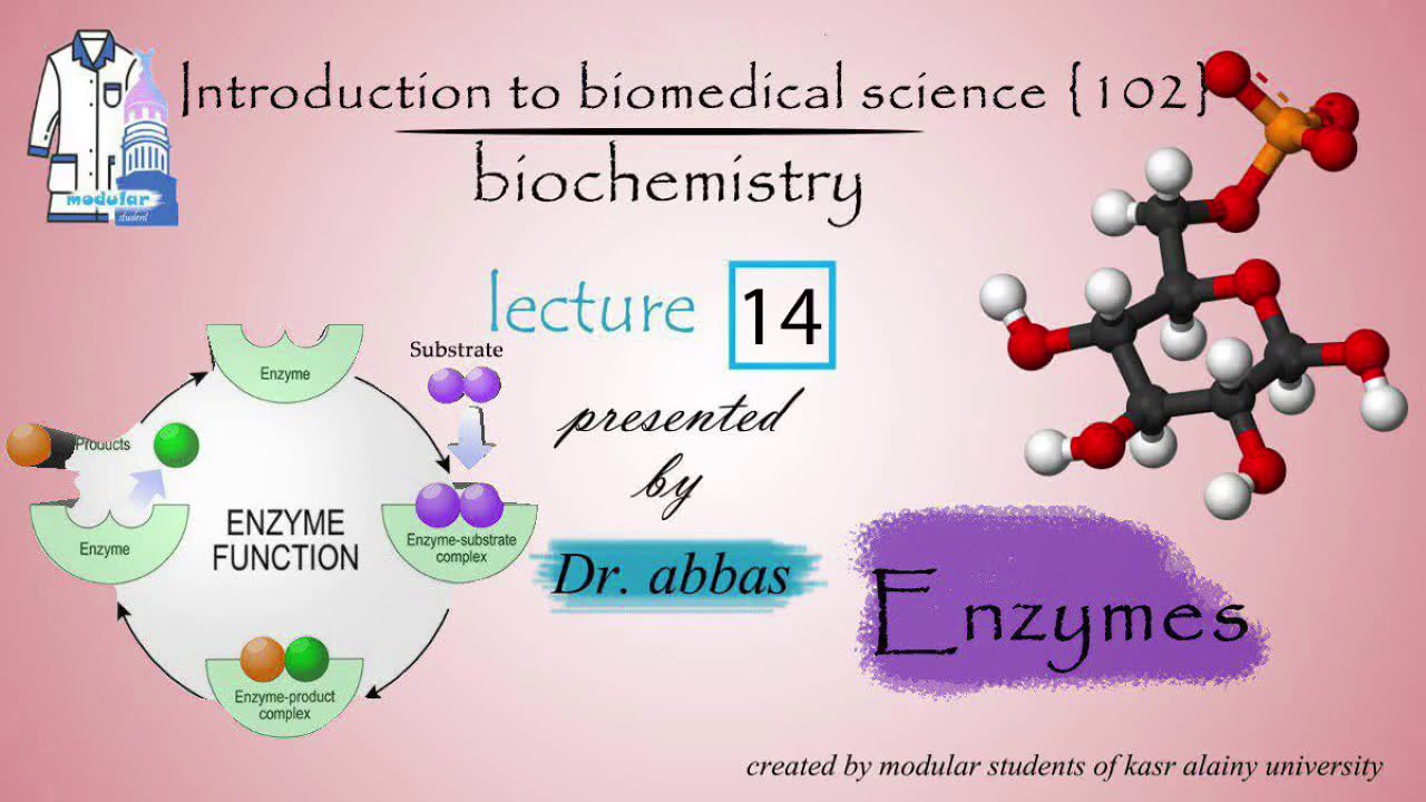 Biochemistry | Dr. Abbas | Module 102 | Lec. 14 (Enzymes) - YouTube