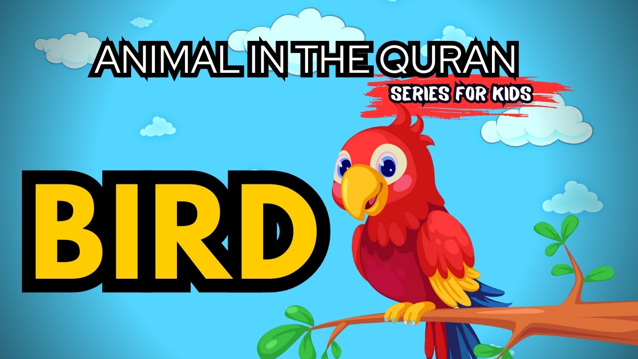Bird | Animals in the Quran #kidsvideo - YouTube