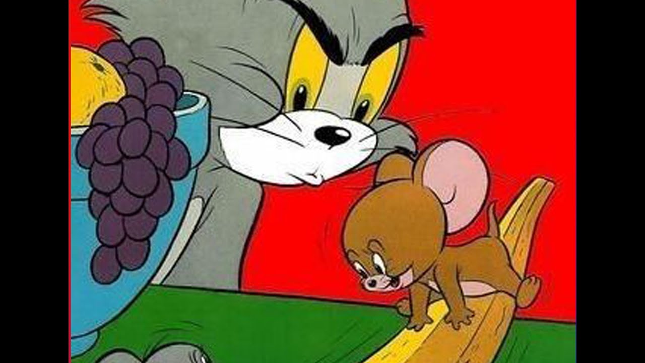 Tom & jerry | tom & jerri | kids cartoon | animated cartoon | bangla ...