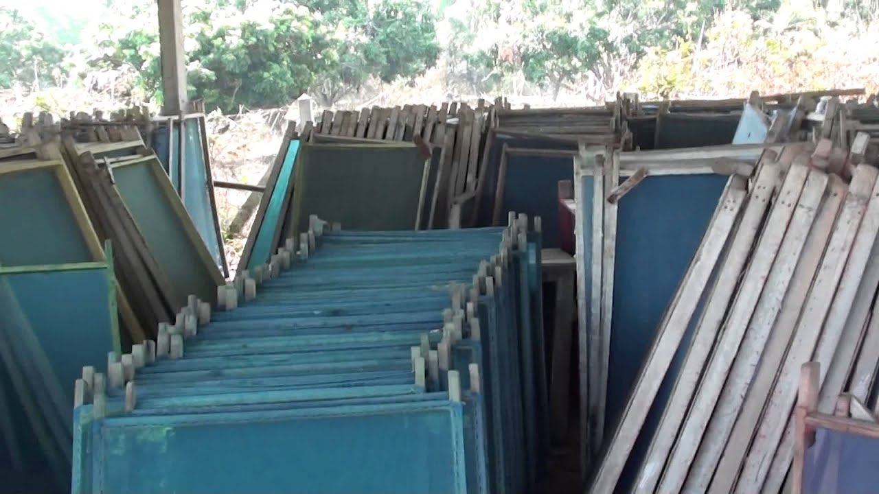 The making of Mulberry Paper inThailand - YouTube