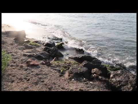 İyi Hissettiren Manzara |  Doğanın Huzur Veren Sesi