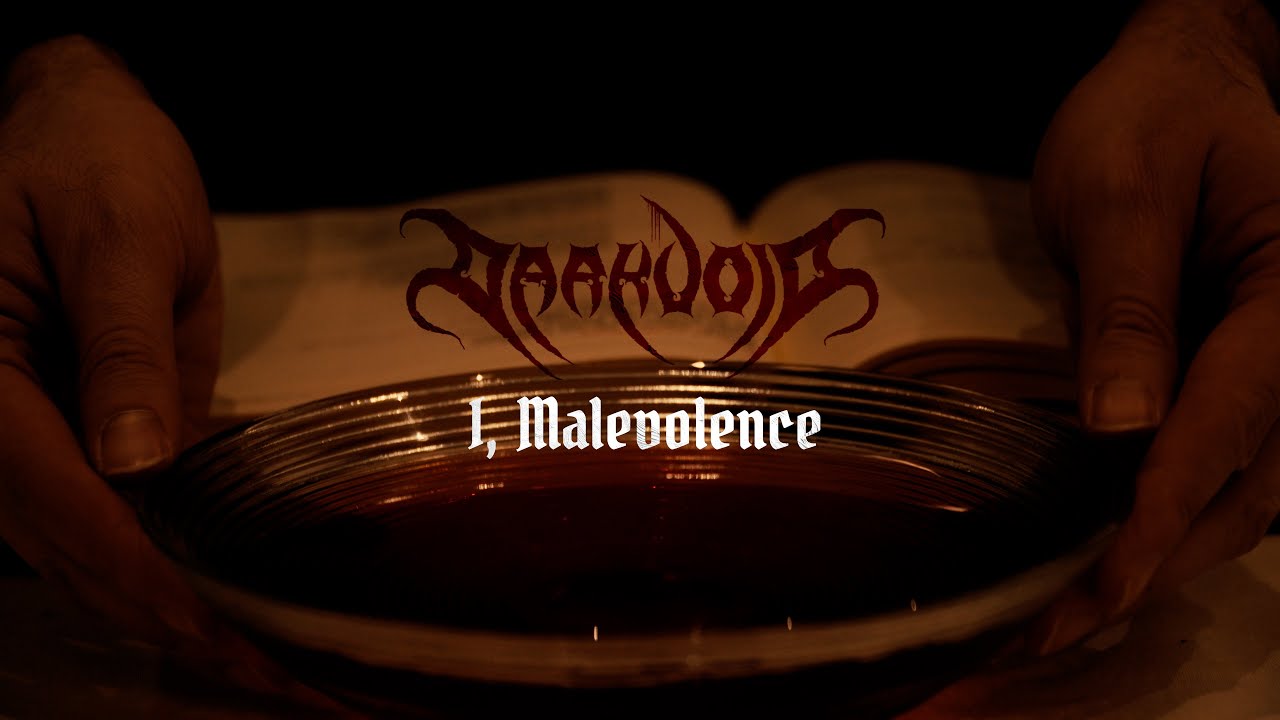 DARKVOID - I, Malevolence (OFFICIAL MUSIC VIDEO) - YouTube