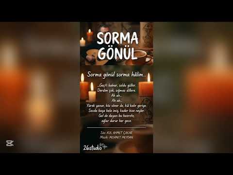SORMA GÖNÜL | Duygusal Türkü 2026 🎻 | Mehmet Meydan & Kul Ahmet Çakar