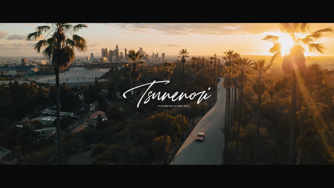 Tsunenori - Fire Red Bird Whistle - YouTube