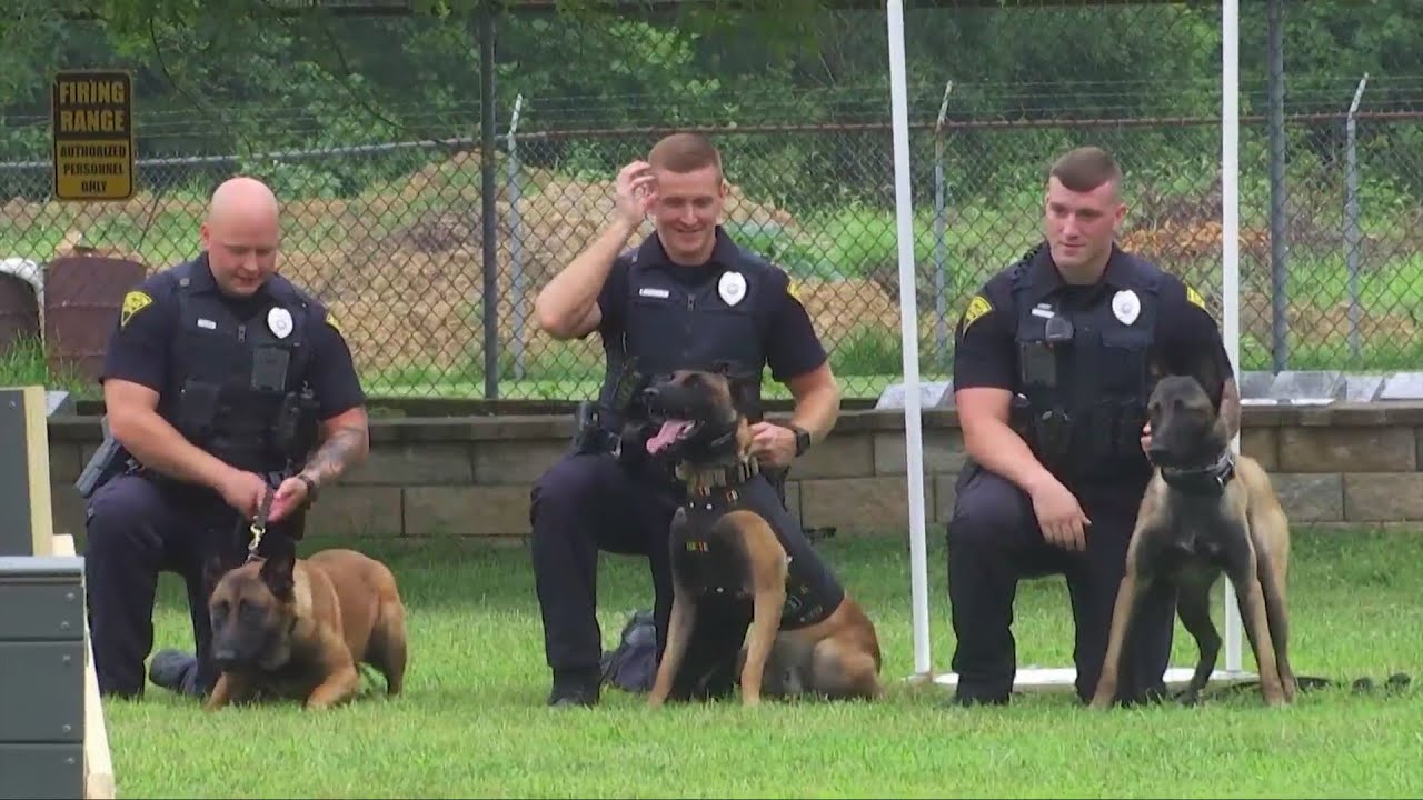 New K-9 agility course built for local police officers and their K-9 ...