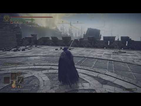 Acnologia's adventures #11 - A gift from the butcher lady