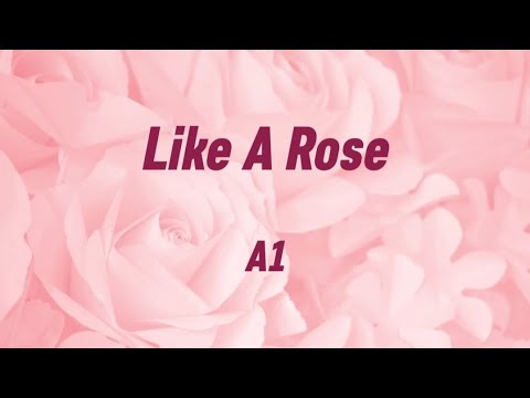 Like a rose - A1 (Lyrics) - YouTube