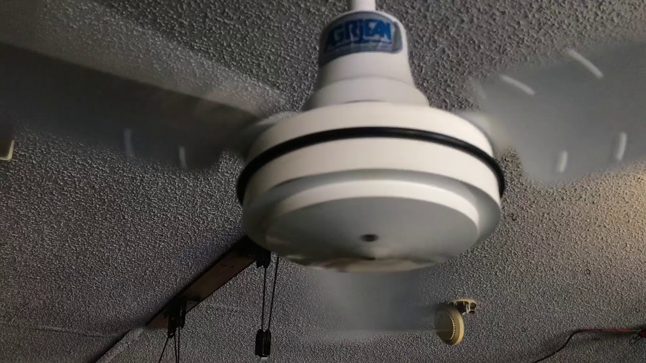 Envirofan agrifan 60” industrial ceiling fan - YouTube