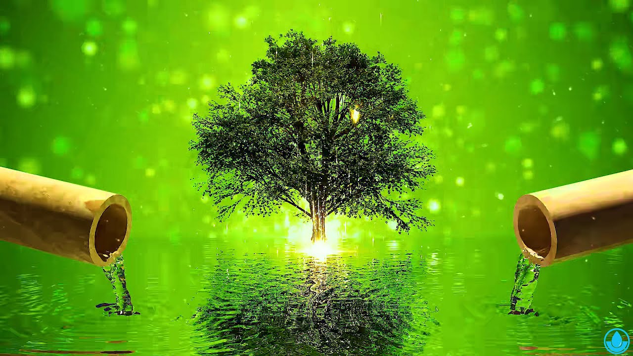 Deep Meditation And Relaxation, Relaxing Music With Soothing Water ...