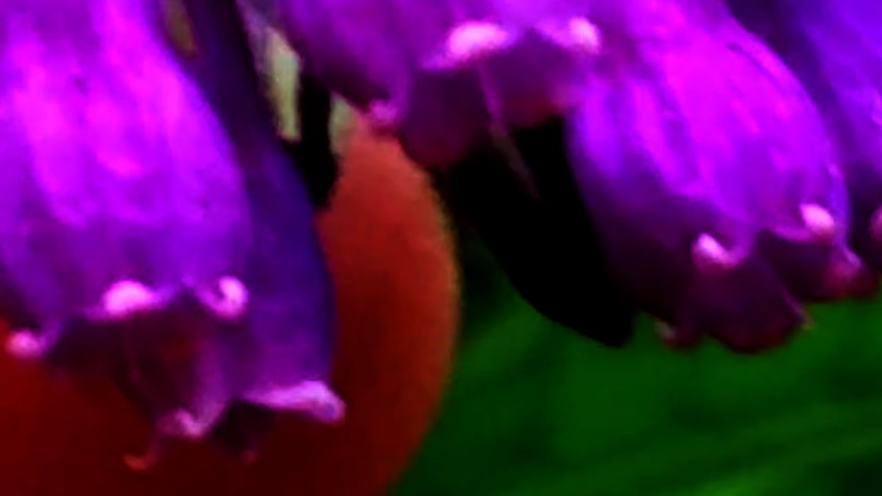 1033 YouTube