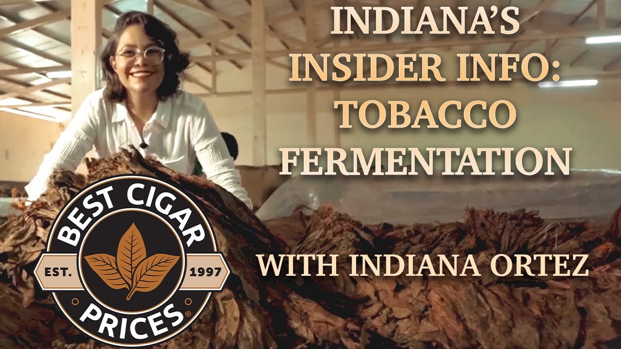 Indiana's Insider Info: Episode 1 The Secret Behind Cigar Fermentation ...