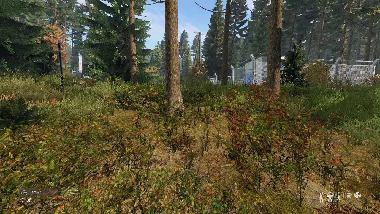 DayZ PS5 Wolves Hunting - YouTube
