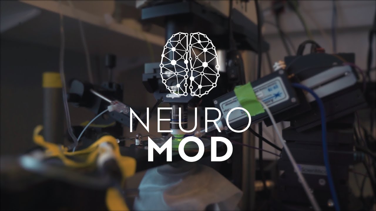 NeuroMod Institute – Modeling in neuroscience and cognition - YouTube