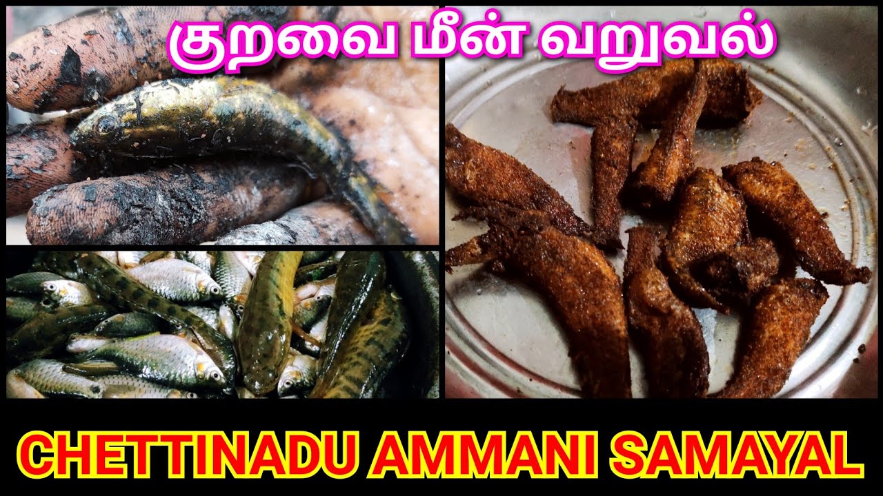 கிராமத்து கண்மாயில் பிடித்த குறைவை மீன் வறுவல்|village vent way fish ...