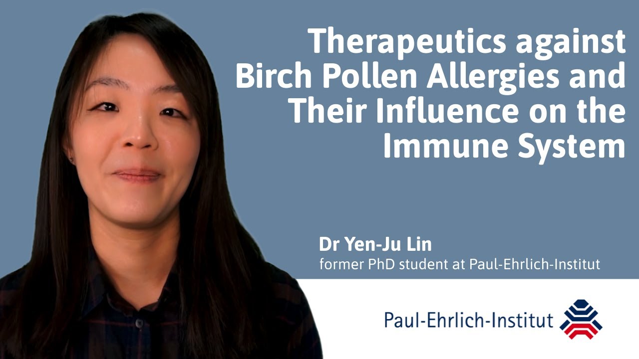 Therapeutics against birch pollen allergies and their influence on the ...