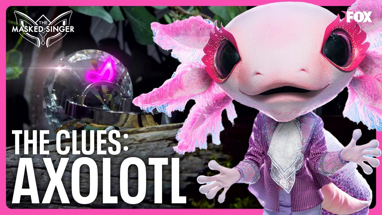 The Clues: Axolotl | Season 9 Ep. 6 | The Masked Singer - YouTube