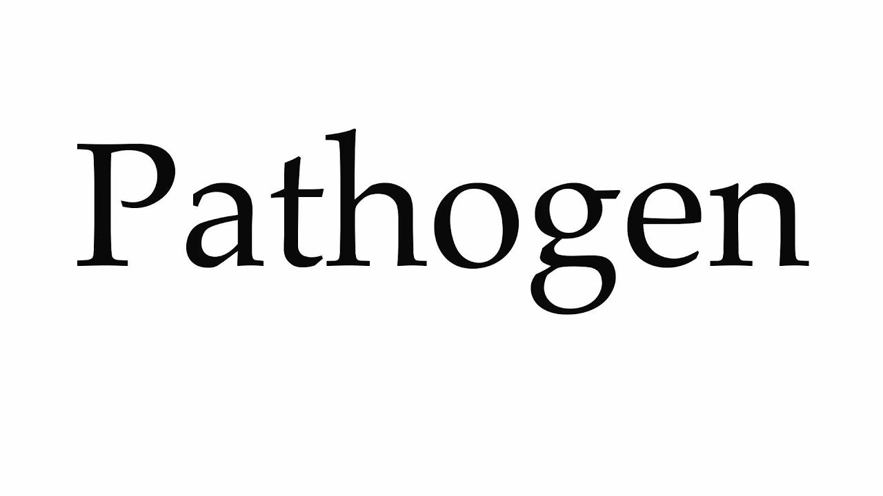 How to Pronounce Pathogen - YouTube