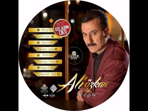 ALİ ÖZKAN 2017 NETMELİ NETMELİ GEZER MÜZİK