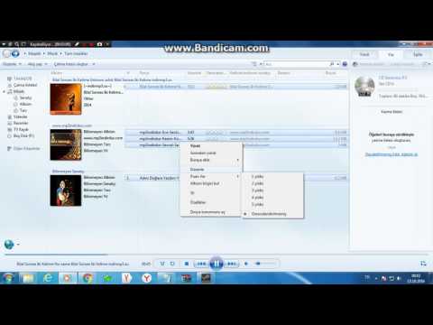 CdyeDVD ye müzik atma programsız 100de100 çalışıyor