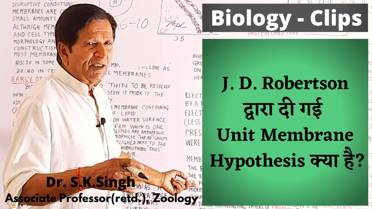 J. D. Robertson's Unit Membrane Hypothesis || Biology Clips - YouTube