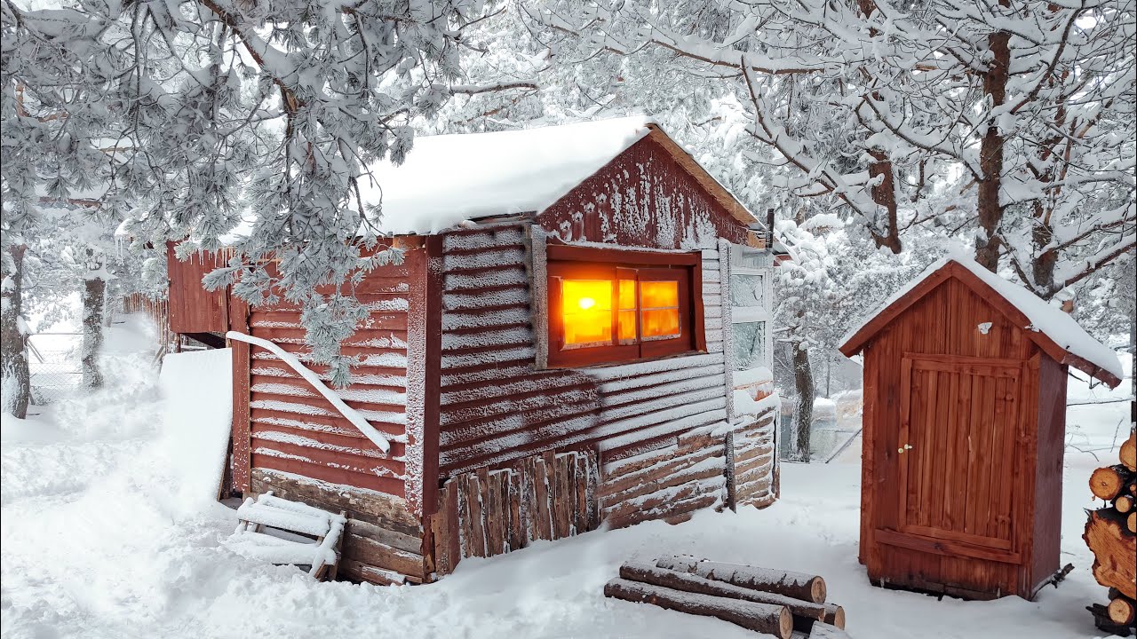 Fighting Snow in a Wooden House, Cold Weather, Collapsing Greenhouse ...