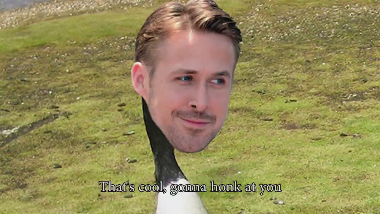 Goose Juice - Lizzo Parody ( Untitled Goose Game ) - YouTube