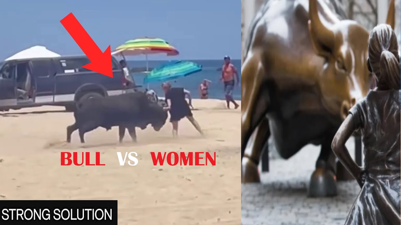 Bull Assaults Women On Beach After She Ignore Warnings - YouTube