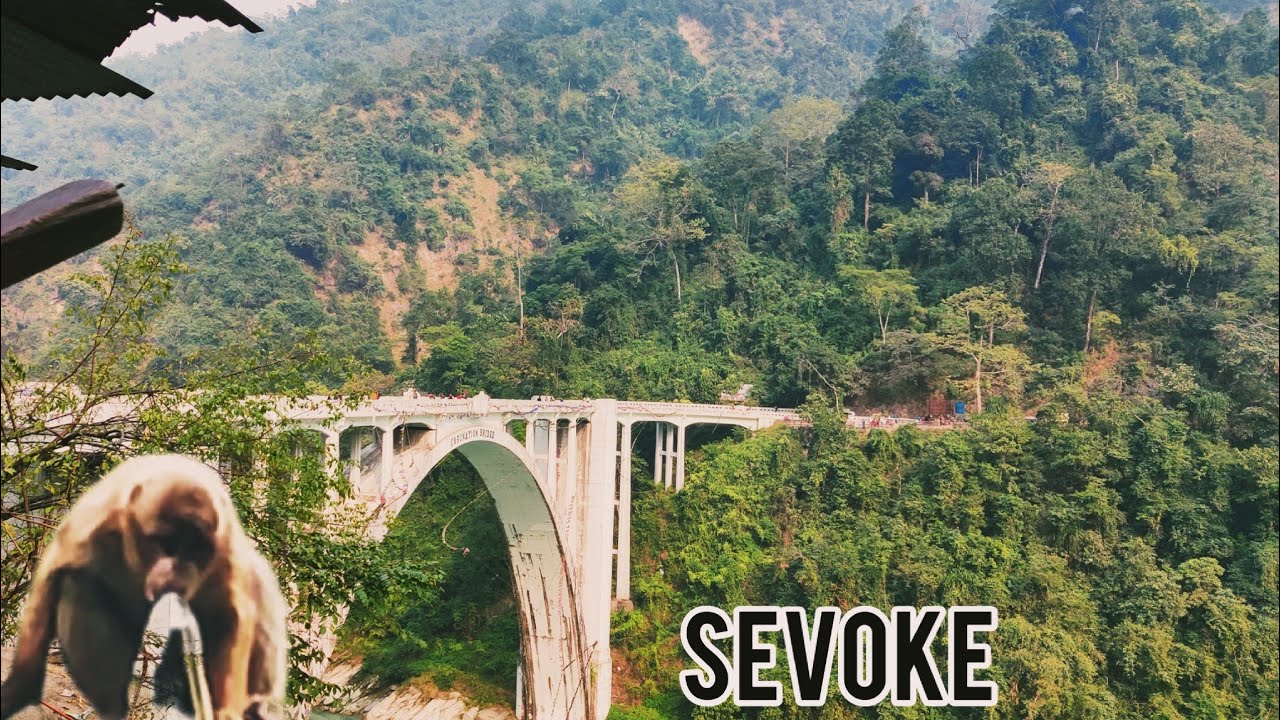 SEVOKE BRIDGE | VLOG | CORONATION BRIDGE | WITH FAMILY - YouTube