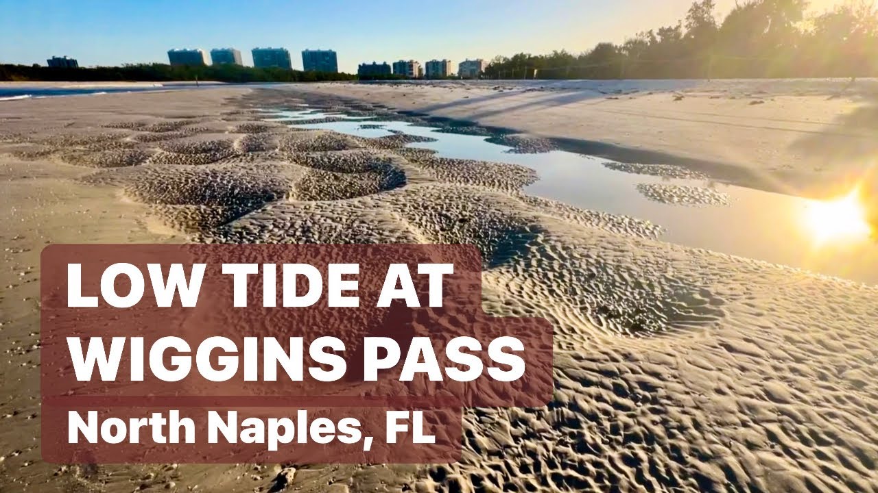 Walking Along the South Shore of Wiggins Pass at Low Tide in North ...