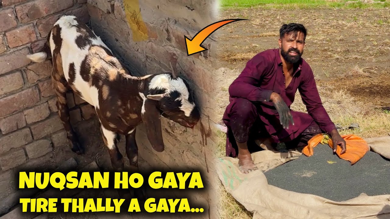 AJ SADA LELA TIRE THAHLY AGY🥹🥹 - YouTube