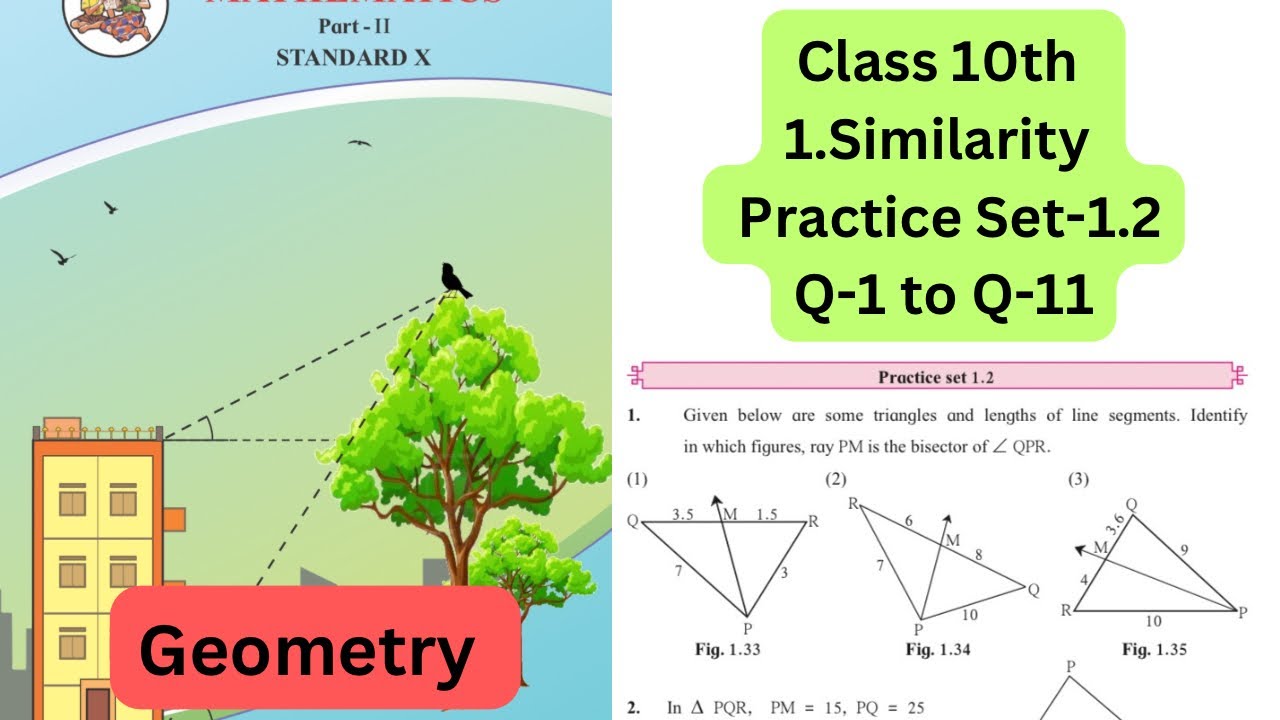 Class 10th|Similarity |Chapter no 1|Practice set 1.2|Maharashtra State ...