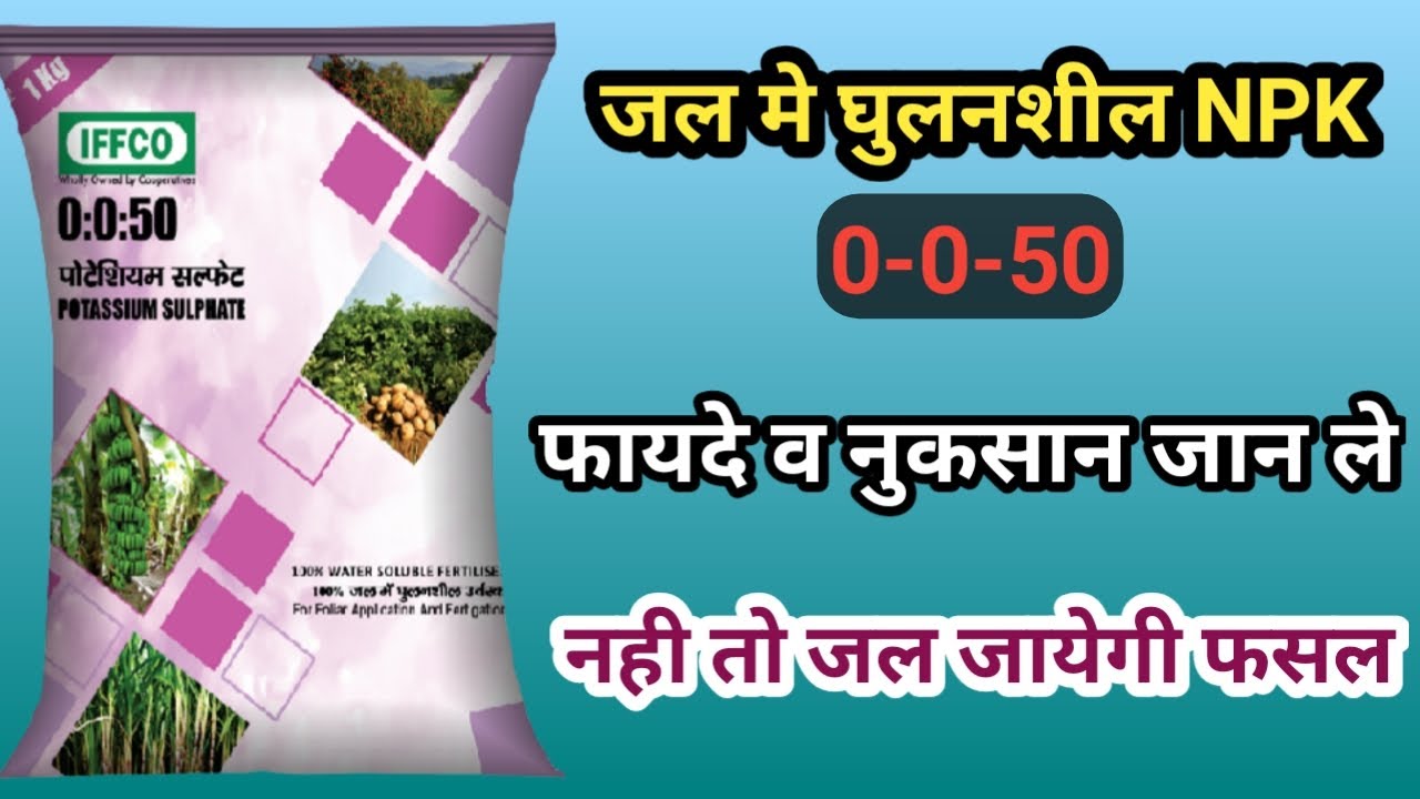 NPK 0 0 50 Water Soluble Npk 0 0 50 Npk 0 0 50 Fertilizers npk-0-0-50-water-soluble-npk-0-0-50-npk-0-0-50-fertilizers