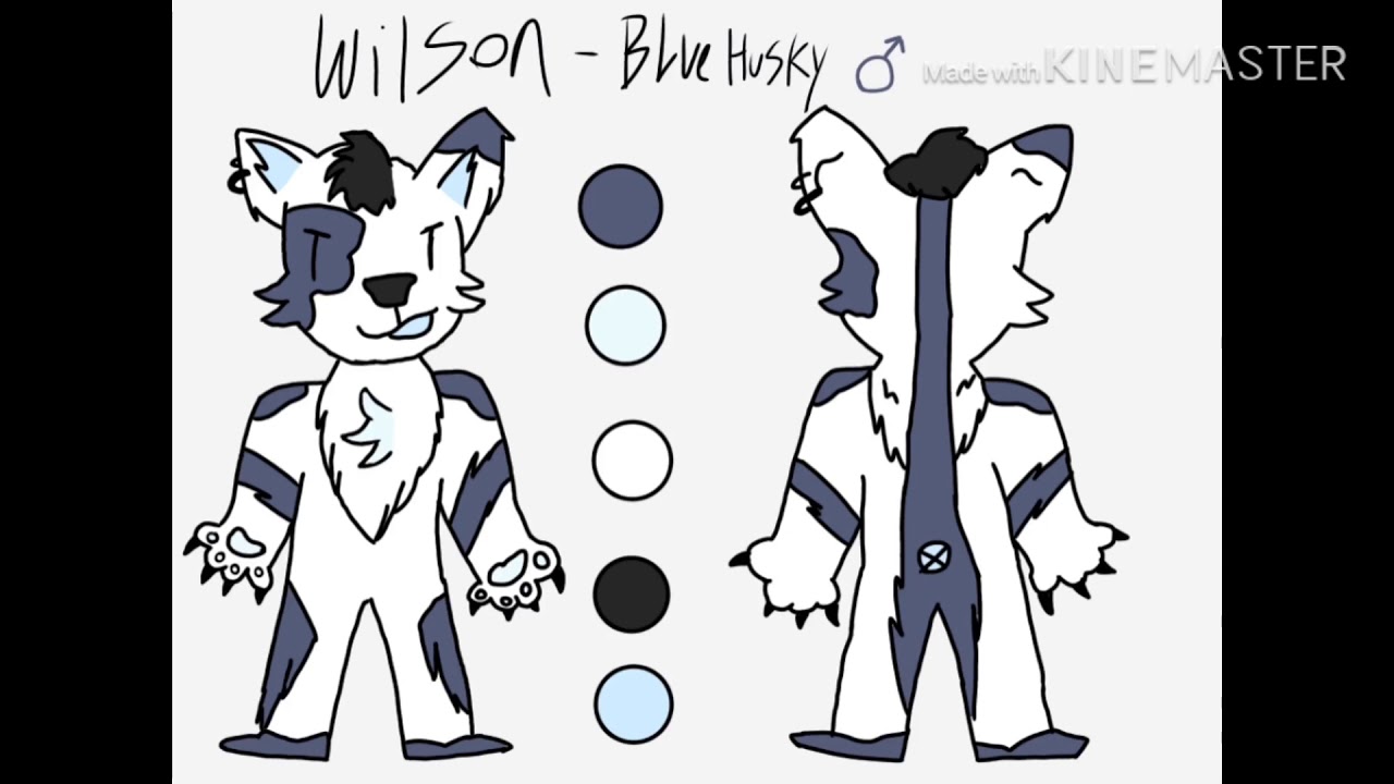 New OC: Wilson - Refrence Sheet - YouTube