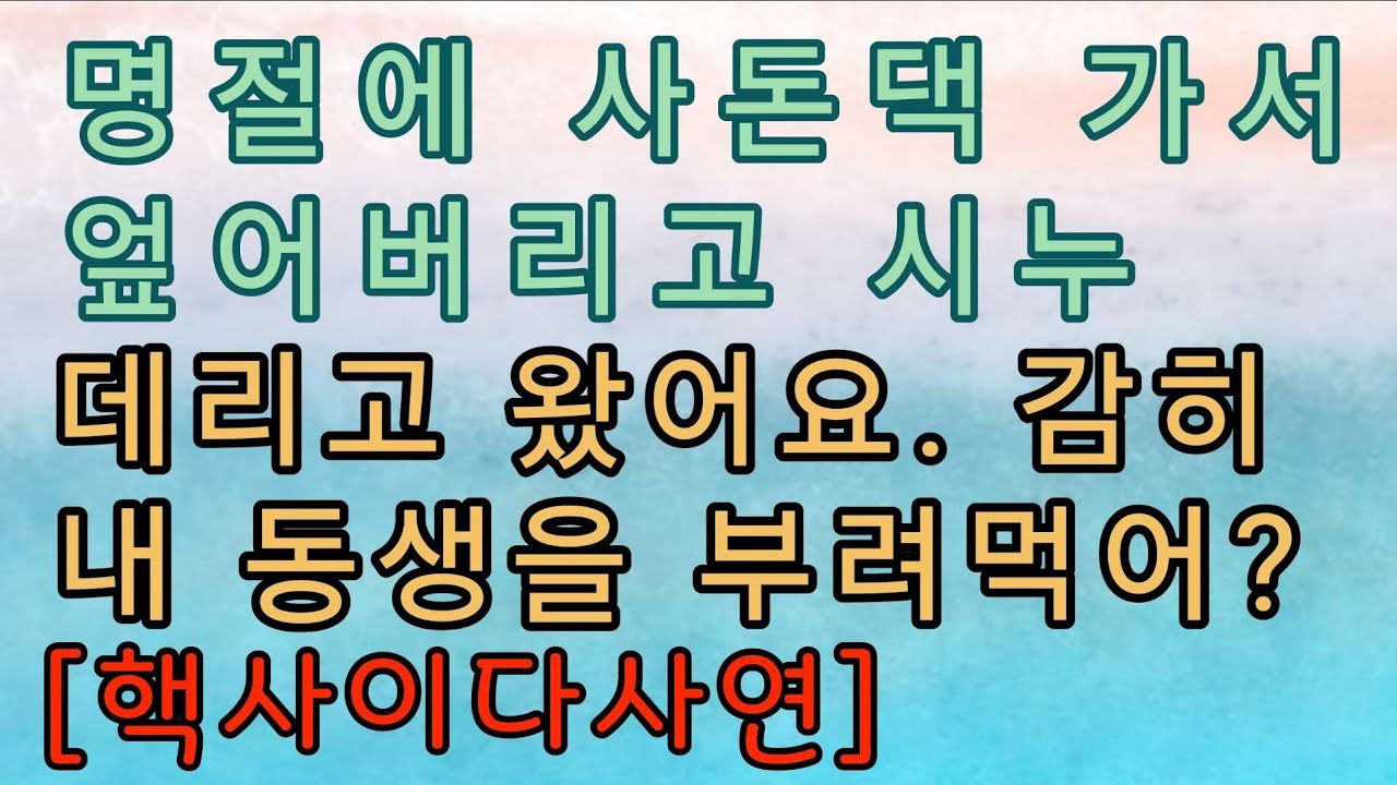 사이다사연 명절에 시누 시댁 쳐들어 가서 시누 데리고 왔어요 사이다썰 미즈넷사연 응징사연 반전사연 참교육사연 라디오사연