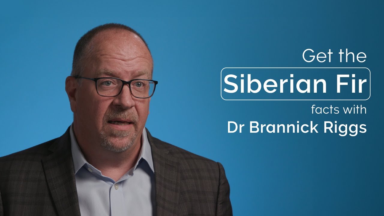 Get the Siberian Fir Facts with Dr Brannick Riggs - YouTube