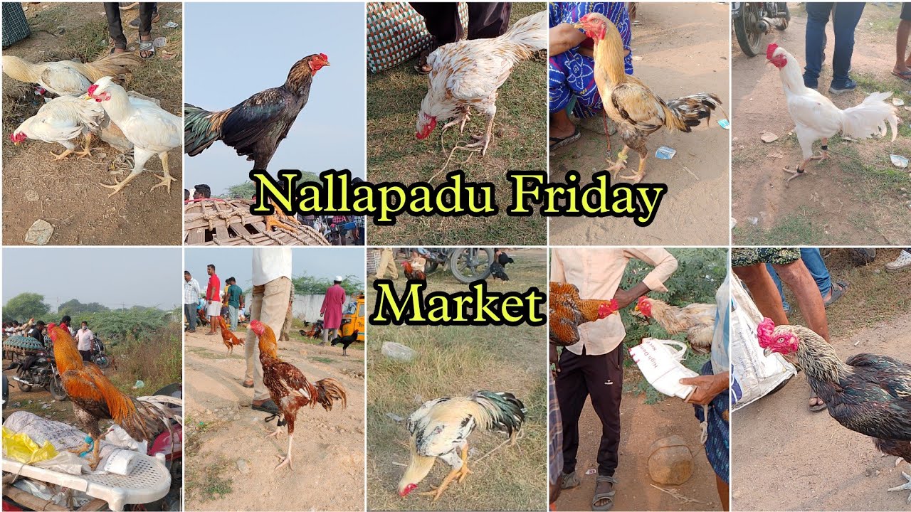 Nallapadu Friday Market - YouTube