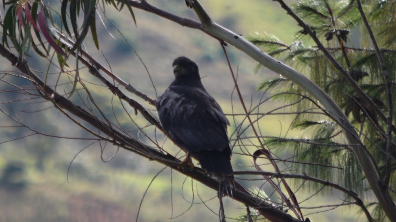 Microcuenca del Río Tabacay - Azogues - YouTube