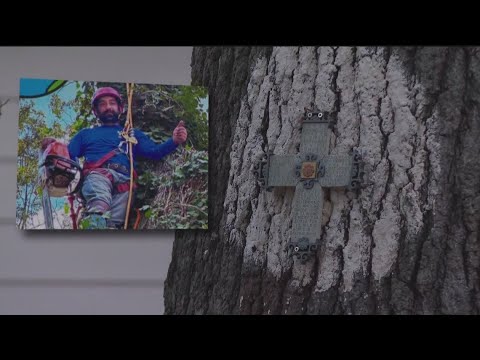 Tree worker’s tragic death sparks OSHA violations and community outrage ...