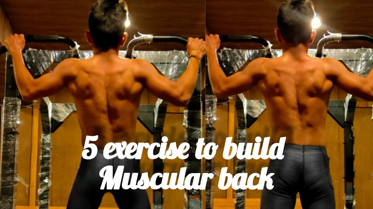How i build my mascular back / 5 exercises to build muscular back - YouTube