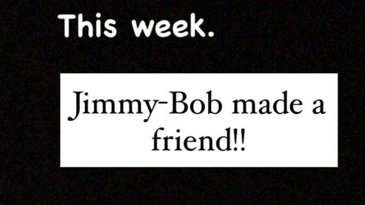 Week 1 news about Jimmy-Bob! ️ - YouTube