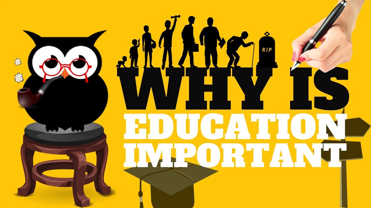 WHY IS EDUCATION IMPORTANT ALL YOU NEED TO KNOW YouTube why-is-education-important-all-you-need-to-know-youtube