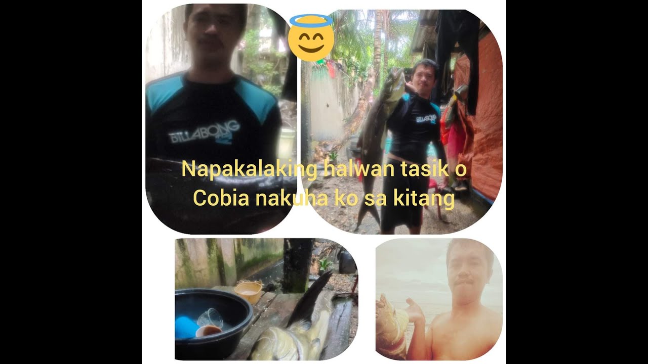 Biggest fish I've ever caught from long line fishing!! Halwan tasik o ...