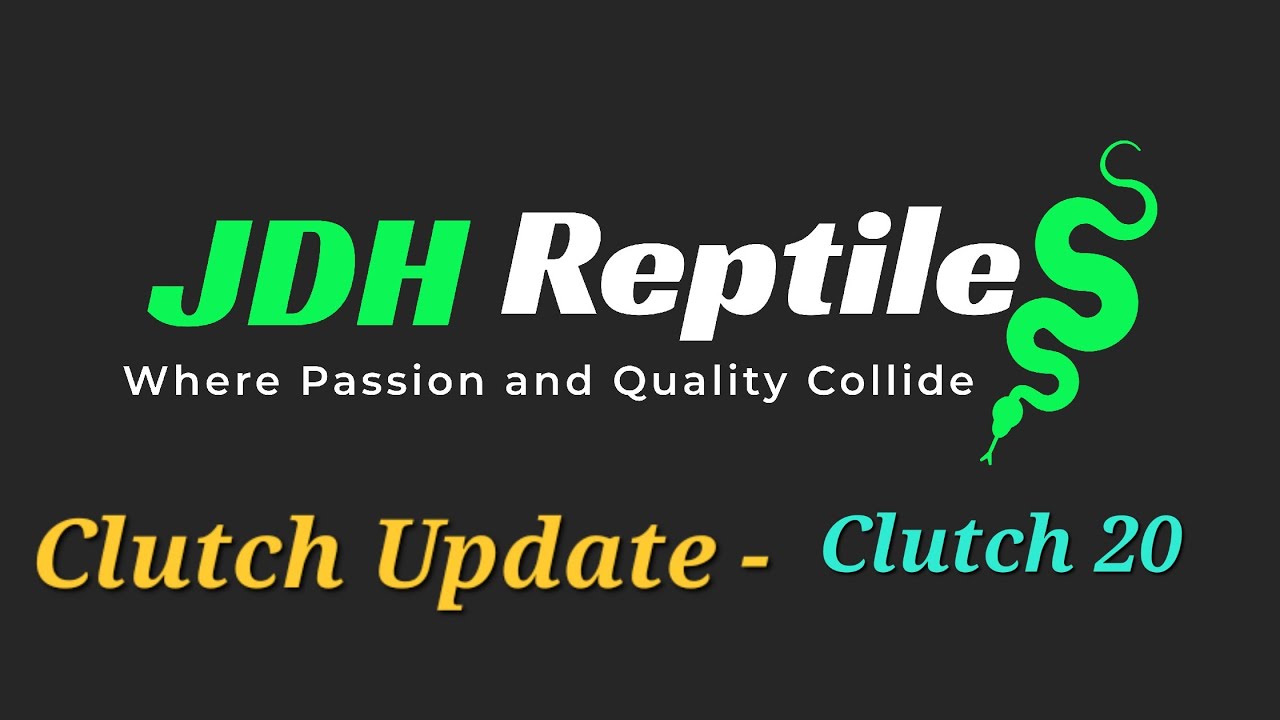 Clutch Update - Clutch 20 - YouTube
