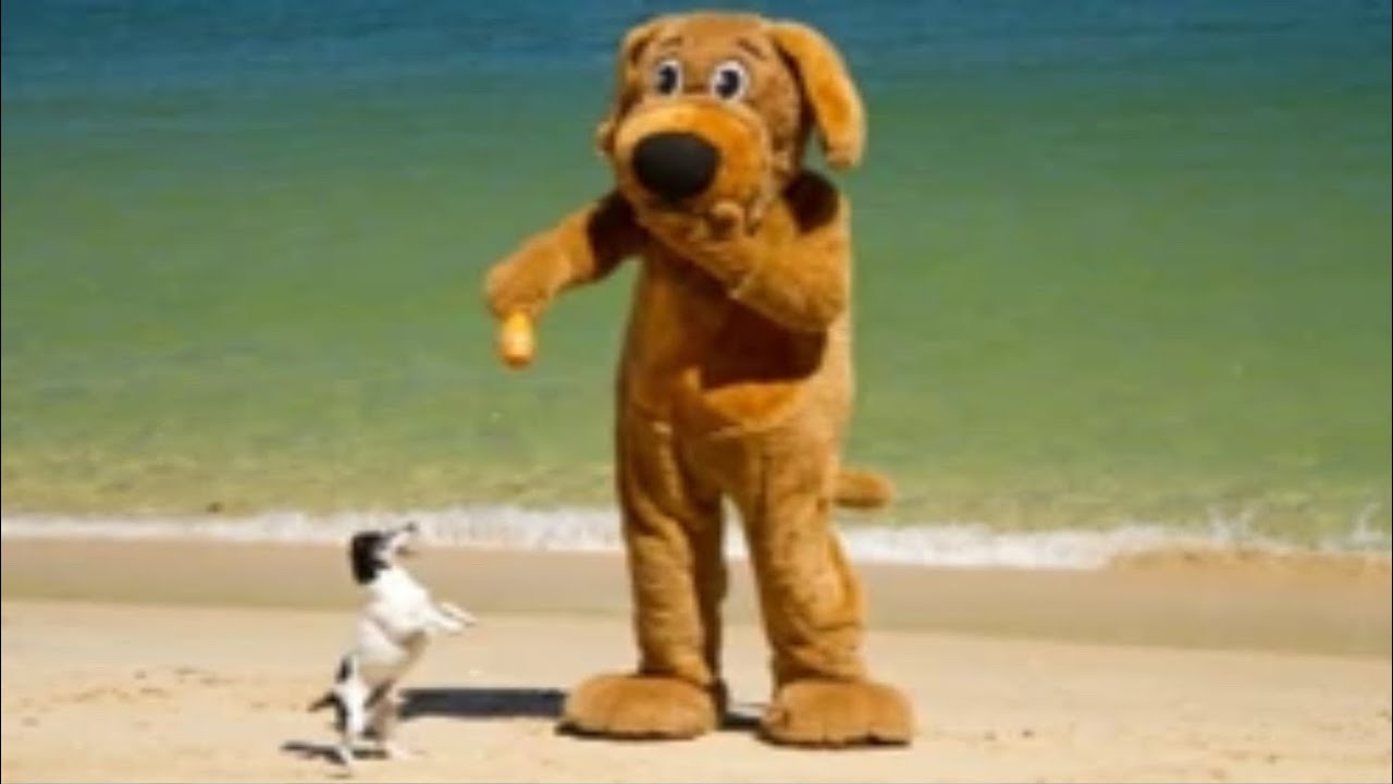 The Wiggles - Everybody Loves a Puppy (Dubbed with AI Greg) - YouTube