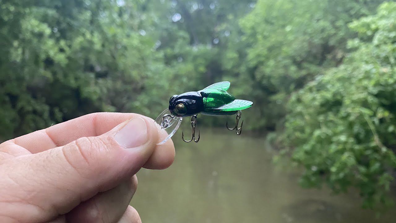 Rebel Lures! Bumble Bug! Creek Fishing in the RAIN! Bank Fishing the ...