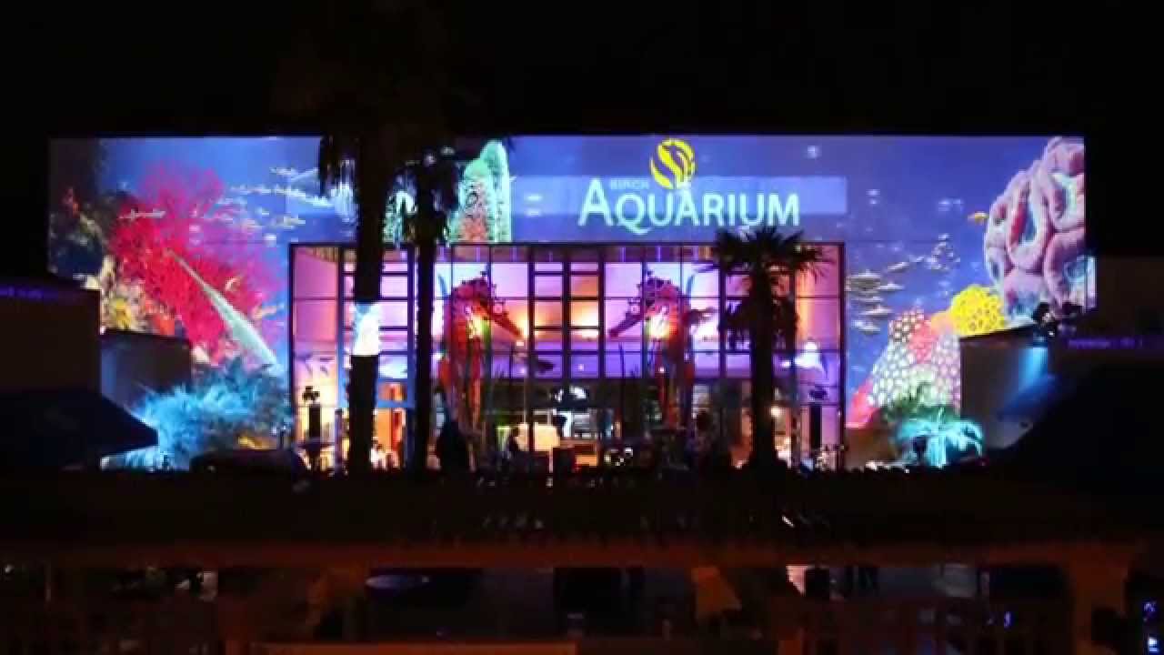 Birch Aquarium projector mapping - YouTube